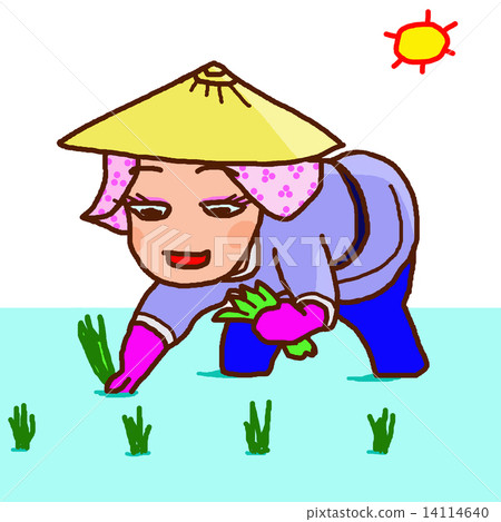 A woman planting rice - Stock Illustration [14114640] - PIXTA