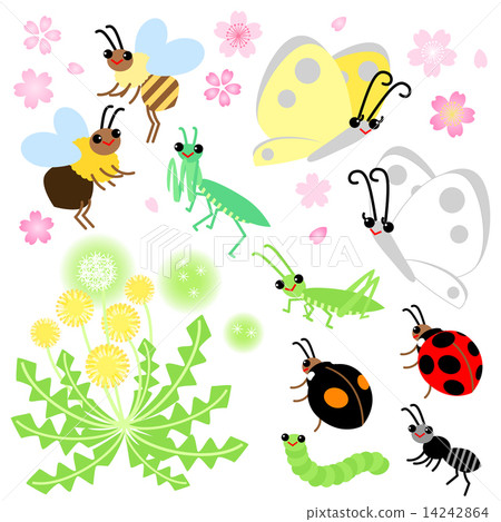 Spring flower insect - Stock Illustration [14242864] - PIXTA