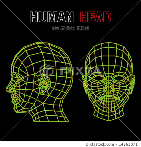 Human Polygon Head - Stock Illustration [14263071] - PIXTA