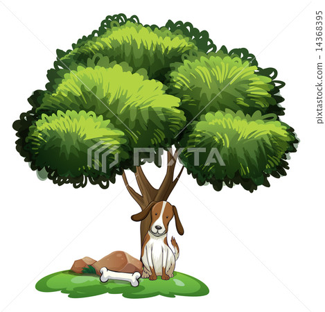 Dog under tree - Stock Illustration [14368395] - PIXTA