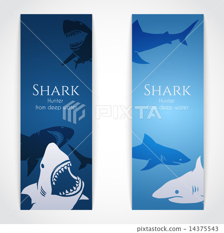 Set of banners with sharks - Stock Illustration [14375543] - PIXTA