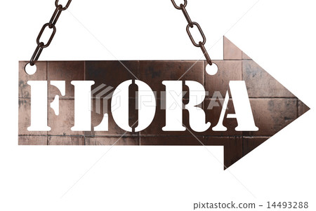 flora word on metal pointer-插圖素材 [14493288] - PIXTA圖庫