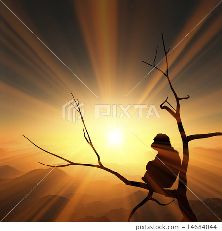 Sunrise and a monkey - Stock Illustration [14684044] - PIXTA