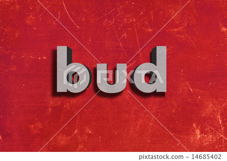 bud word on red wall - Stock Illustration [14685402] - PIXTA