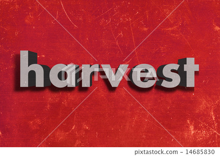 harvest word on red wall - Stock Illustration [14685830] - PIXTA