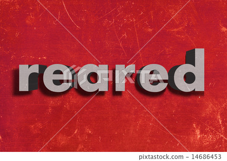 reared word on red wall - Stock Illustration [14686453] - PIXTA