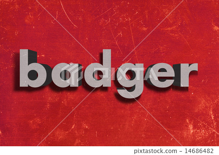 badger word on red wall - Stock Illustration [14686482] - PIXTA