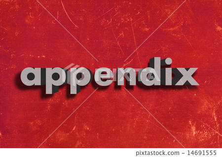 appendix word on red wall - Stock Illustration [14691555] - PIXTA