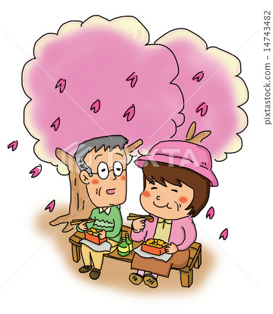 Hanami / couple / lunch box - Stock Illustration [14743482] - PIXTA