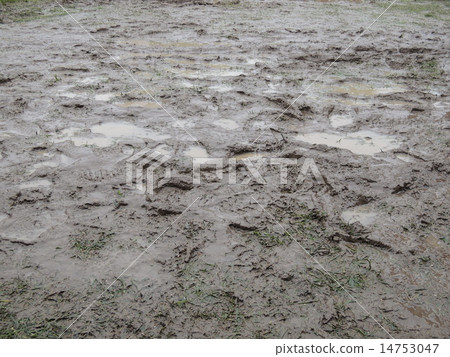 Mud of the ground - Stock Photo [14753047] - PIXTA