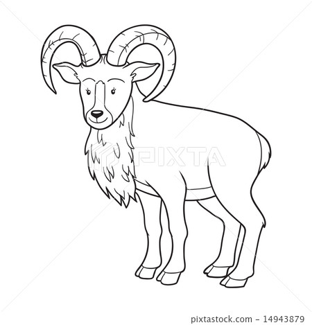 Coloring book (urial) - Stock Illustration [14943879] - PIXTA