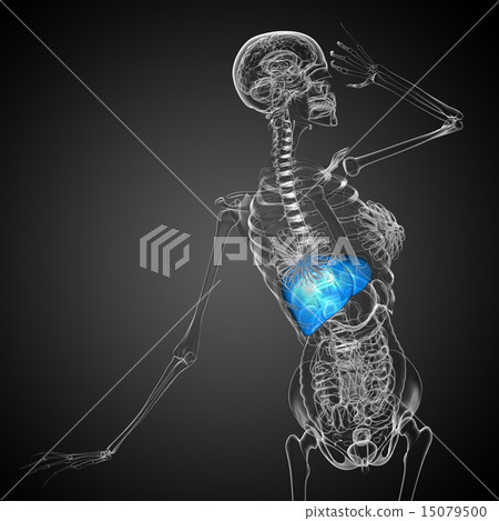3d render medical illustration of the liver - Stock Illustration ...