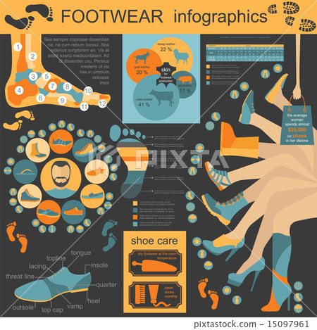 Footwear infographics elements. Easily edited - Stock Illustration ...