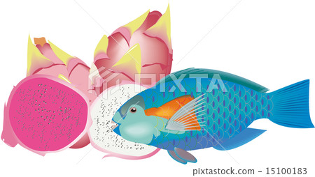 Dragon fruit - Stock Illustration [15100183] - PIXTA