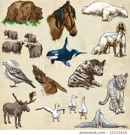 Animals around the World - hand drawings - Stock Illustration [15153814 ...