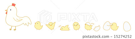 Chickens and chicks lines - Stock Illustration [15274252] - PIXTA