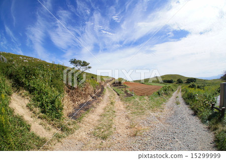 A parting road - Stock Photo [15299999] - PIXTA