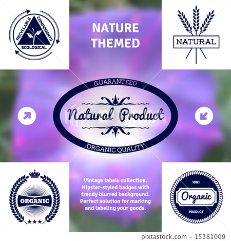 Vintage premium labels set on blurred background - Stock Illustration ...