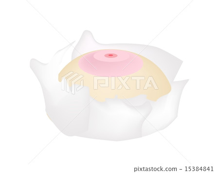 Japanese Traditional Sweet Hakuto Jelly Made - Stock Illustration ...