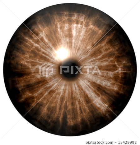 Set of four brown eyes, light reflection. - Stock Illustration ...