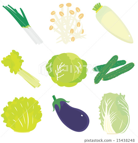 Light gray vegetables 9 kinds set - Stock Illustration [15438248] - PIXTA