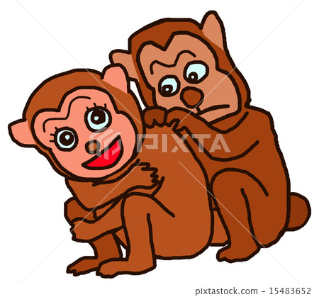 A monkey grooming - Stock Illustration [15483652] - PIXTA