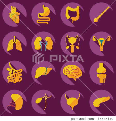 Flat concept, set modern design with shadow... - Stock Illustration ...