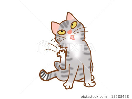 Itchy cat - Stock Illustration [15588428] - PIXTA