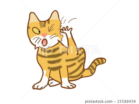 Itchy dying cat - Stock Illustration [15588439] - PIXTA