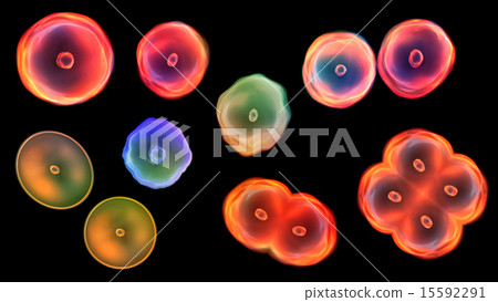 color cells type - Stock Illustration [15592291] - PIXTA