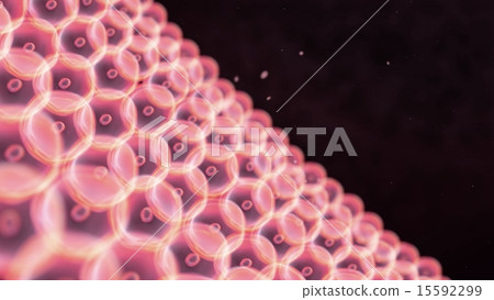 pink skin cells circle arrange to wall - Stock Illustration [15592299 ...