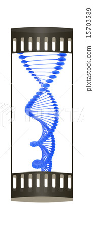 DNA structure model. The film strip - Stock Illustration [15703589] - PIXTA
