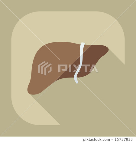Flat modern design with shadow icons liver - Stock Illustration ...