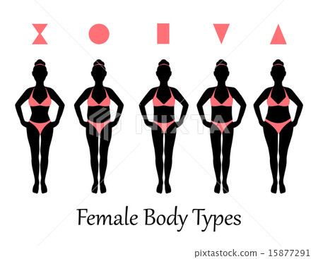 female body types - Stock Illustration [15877291] - PIXTA