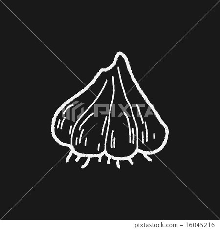 Garlic doodle - Stock Illustration [16045216] - PIXTA