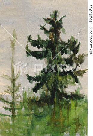 High fur-tree - Stock Illustration [16193912] - PIXTA