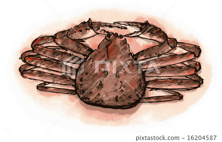 Snow crab - Stock Illustration [16204587] - PIXTA