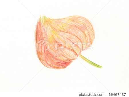 Cheeks - Stock Illustration [16467487] - PIXTA