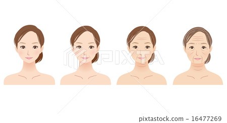 Female aging - Stock Illustration [16477269] - PIXTA