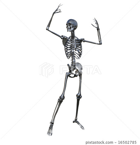 skeleton - Stock Illustration [16502785] - PIXTA