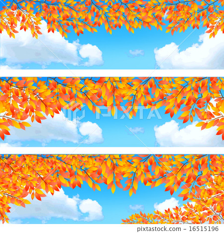 Maple autumn leaves background - Stock Illustration [16515196] - PIXTA