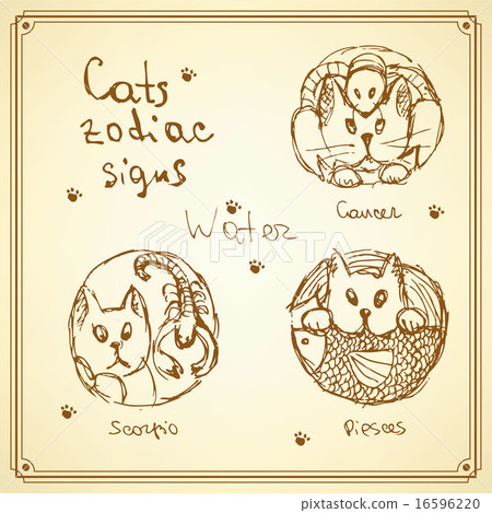 Cats as zodiac signs 60 photos - Youhoroscope.com