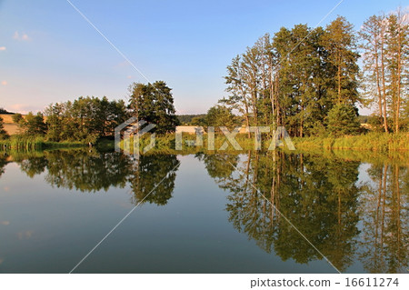 Countryside wood - Stock Photo [16611274] - PIXTA