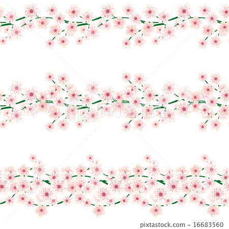 Cherry blossom borders - Stock Illustration [16683560] - PIXTA