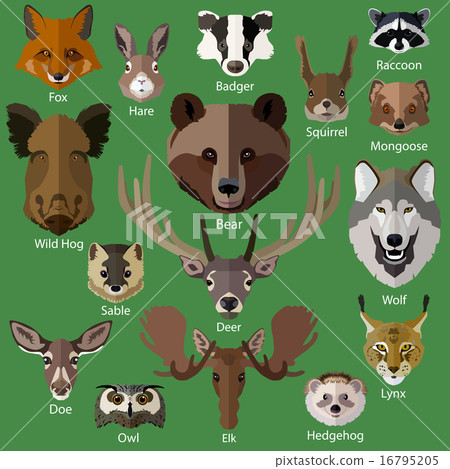 Set of forest animals faces isolated icons. - Stock Illustration ...