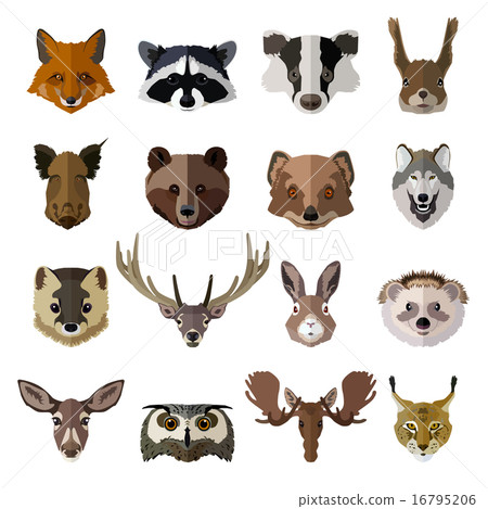 Set of forest animals faces isolated icons.... - Stock Illustration ...