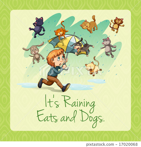 It's raining cats and dogs idiom - Stock Illustration [17020068] - PIXTA
