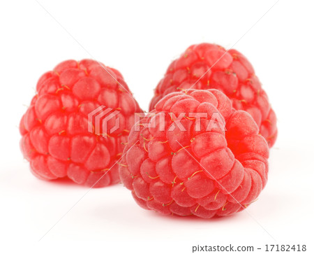 Fresh Ripe Perfect Raspberry - Stock Photo [17182418] - PIXTA