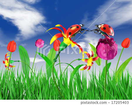 two ladybugs - Stock Illustration [17205403] - PIXTA