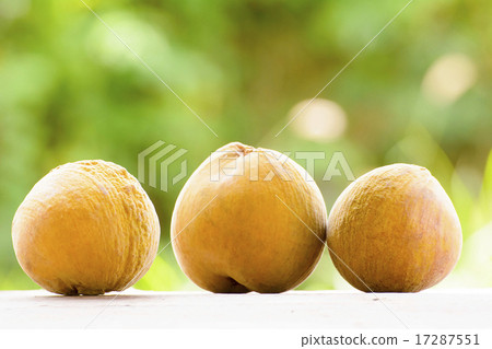 Sandoricum koetjape or santol or cottonfruit - Stock Photo [17287551 ...